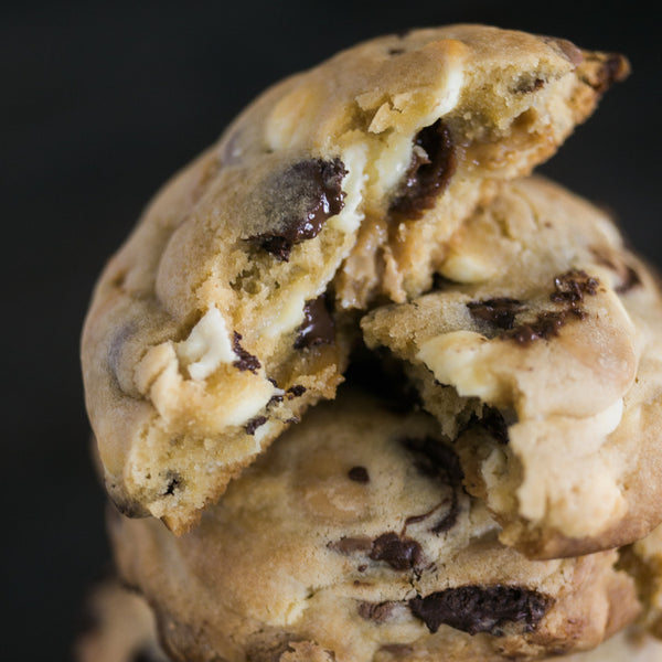 The Galileo | Colossal Cookie Co: Premium Cookies