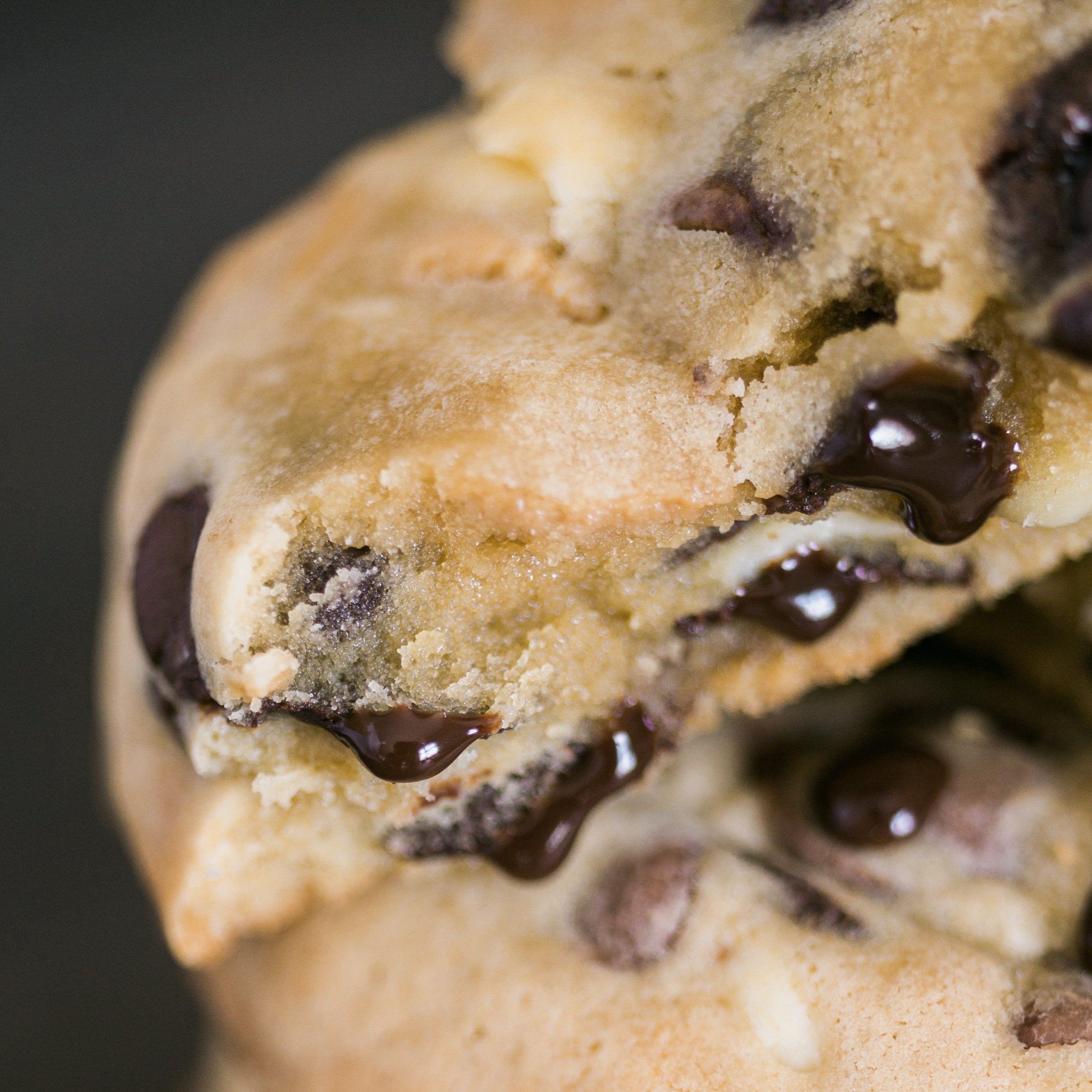 The Galileo | Colossal Cookie Co: Premium Cookies